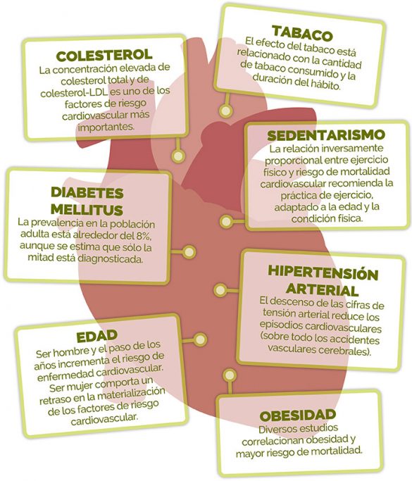 Cómo minimizar el riesgo cardiovascular - Farmaceuticonline
