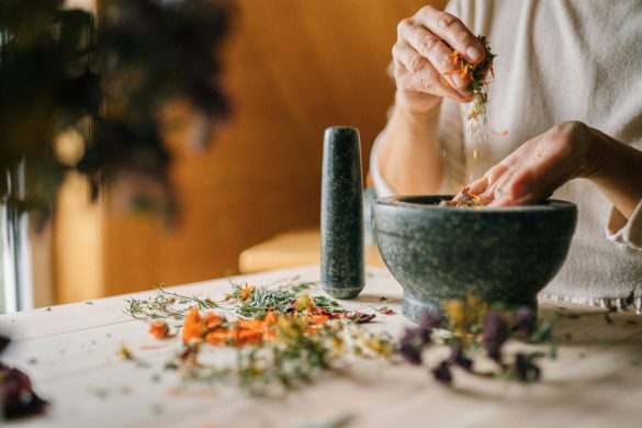 Preparación y uso correcto de las plantas medicinales: TINTURAS ...